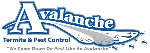 Pest & Termite Control Experts | Avalanche Pest Control Katy
